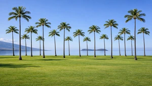 Kihei Webcam - Live Shores